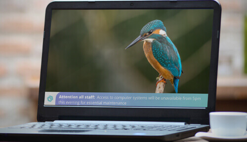 IT Outage Notifications | Unplanned and Scheduled Outages